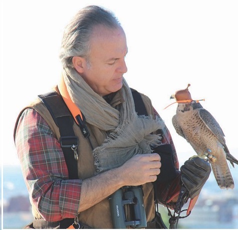 Cetrería: Caza por altanería de la perdiz