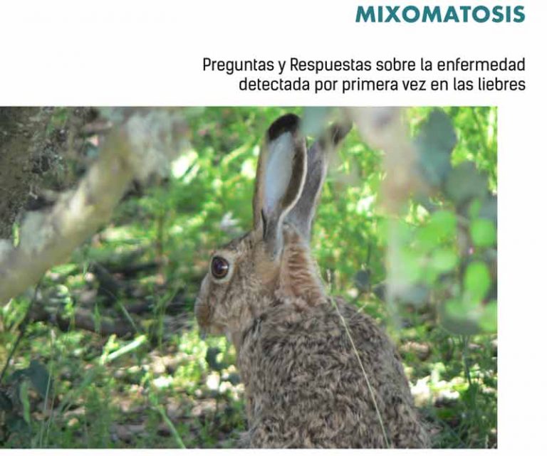 Artemisan elabora un folleto informativo sobre la mixomatosis