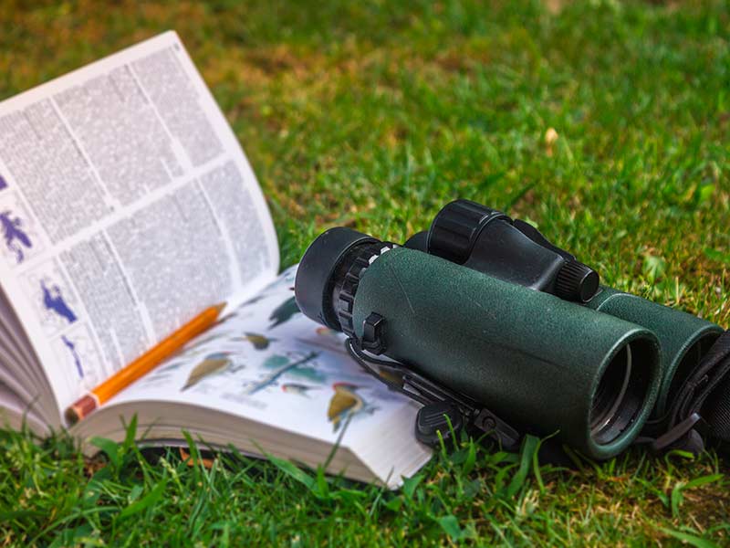 Guías de campo para identificar animales.