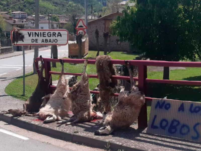 Así es la impactante protesta pública que surge tras un nuevo ataque ...