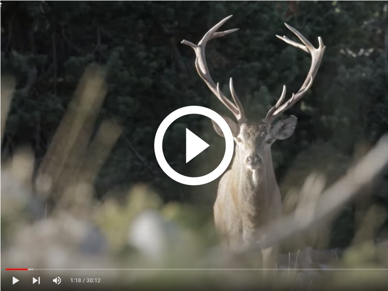 Nuevo capítulo de Cazando con Ciencia