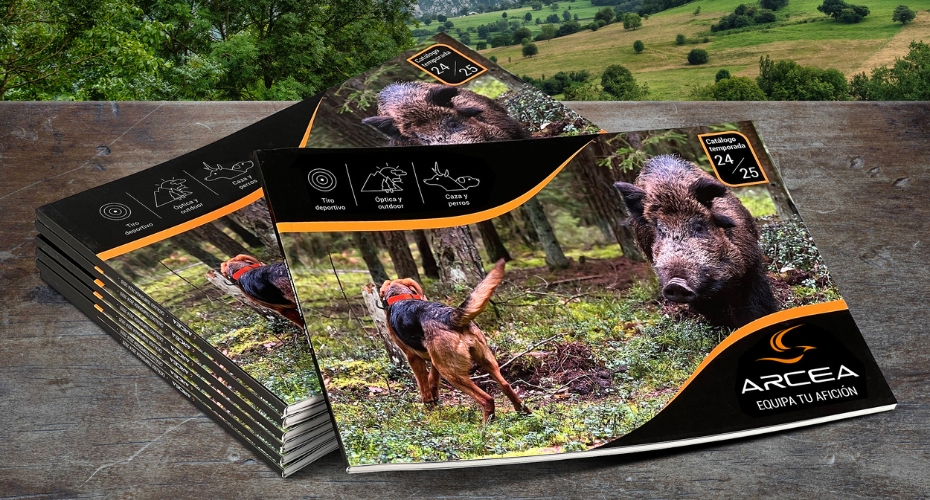 Nuevo catálogo Arcea 2024/2025