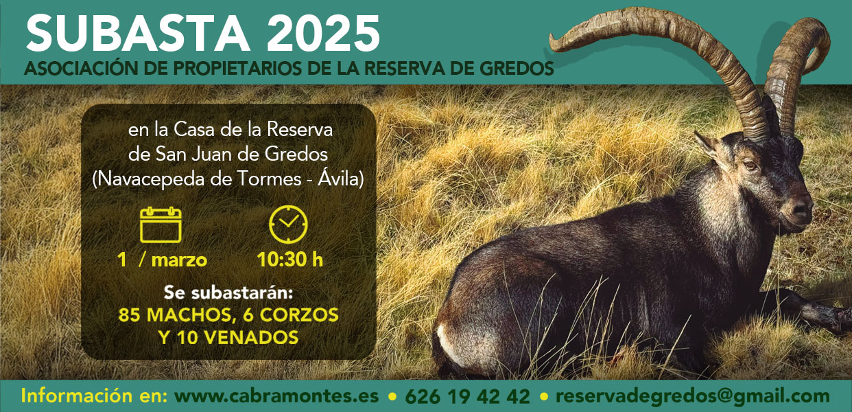 Subasta 2025 de la Reserva de Gredos
